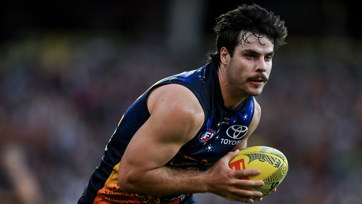 AFL News 2024: Darcy Fogarty, Adelaide Crows finals hopes, 99-point win ...