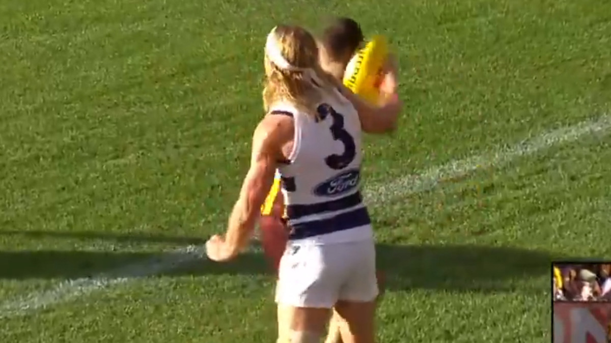 AFL news 2025: Geelong v Hawthorn result, video, highlights, Bailey ...