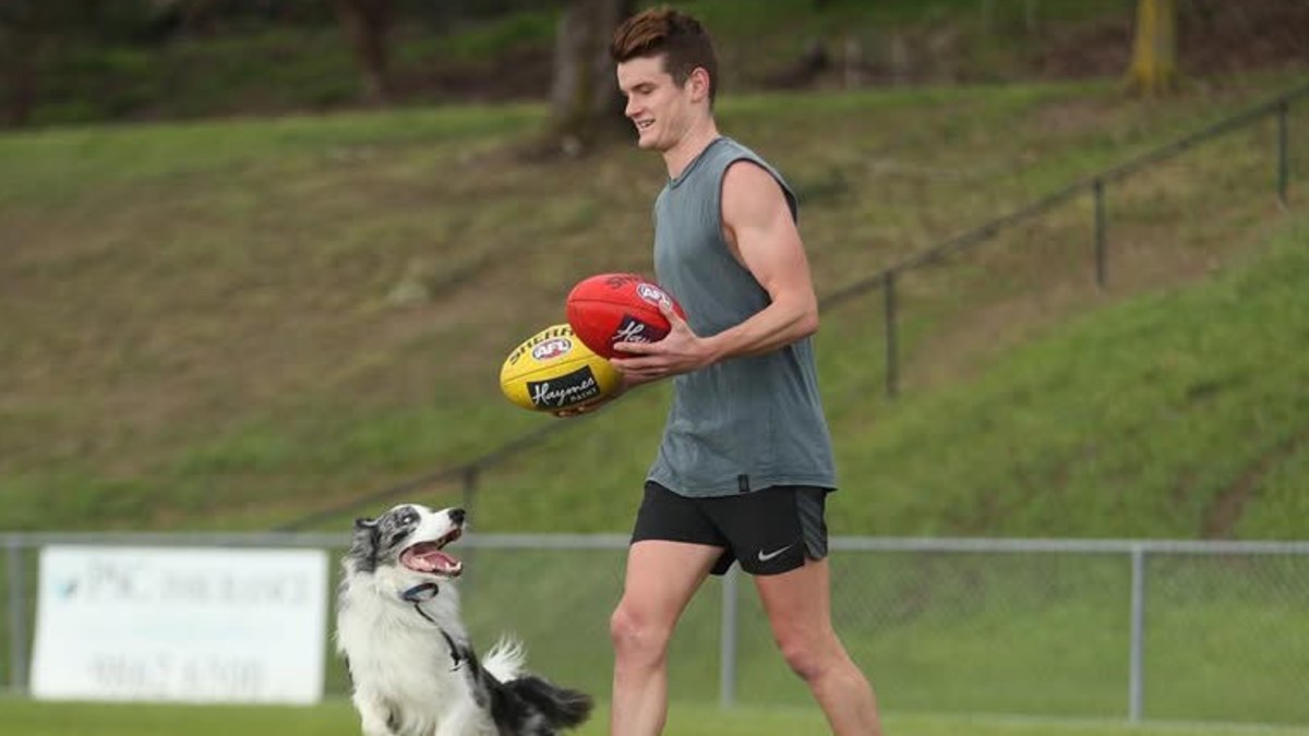 AFL Injuries 2026: Full list of injured players ahead of Opening Round ...