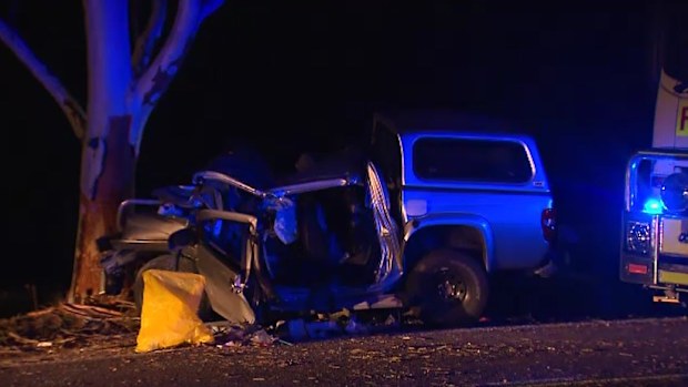 South Australia news: Mother and son dead after car hit tree in South ...