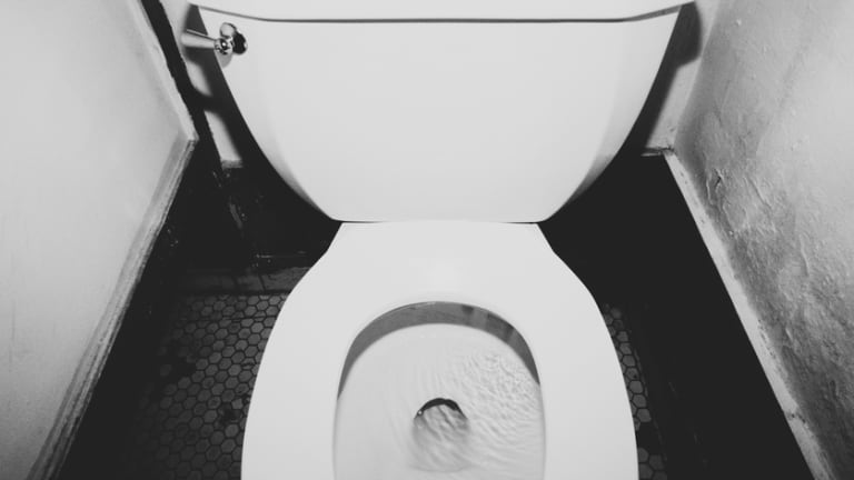 Poo-powered car hits the streets of Brisbane