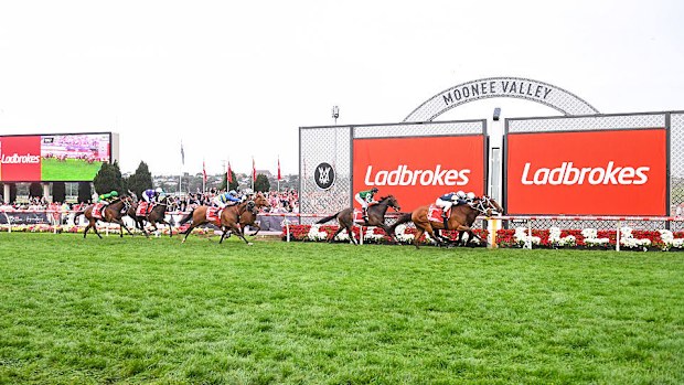 Melbourne Cup Carnival 2025: Buckaroo confirmed to run, betting odds ...