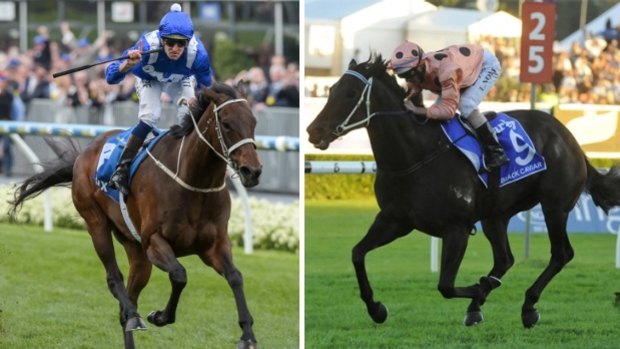Spring racing carnival 2016: Winx v Black Caviar a phantom clash for ...