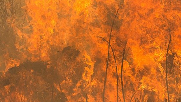 Macleay Island bushfire controlled by firefighters