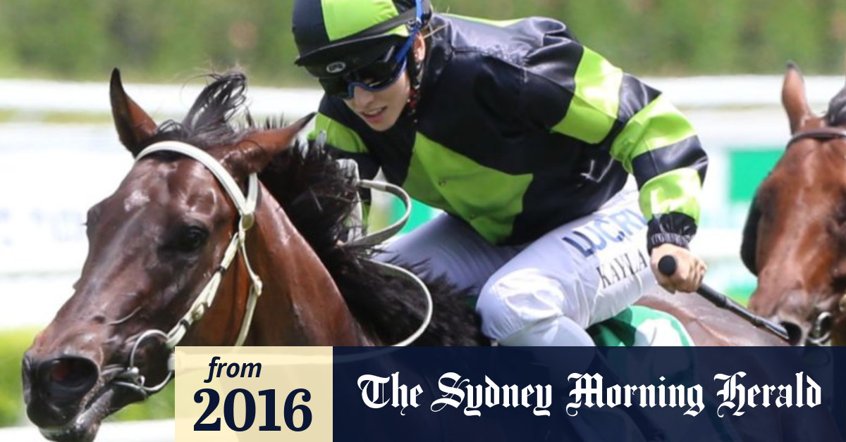 Luke Pepper has spicy hopes for stable import Appoint Percy