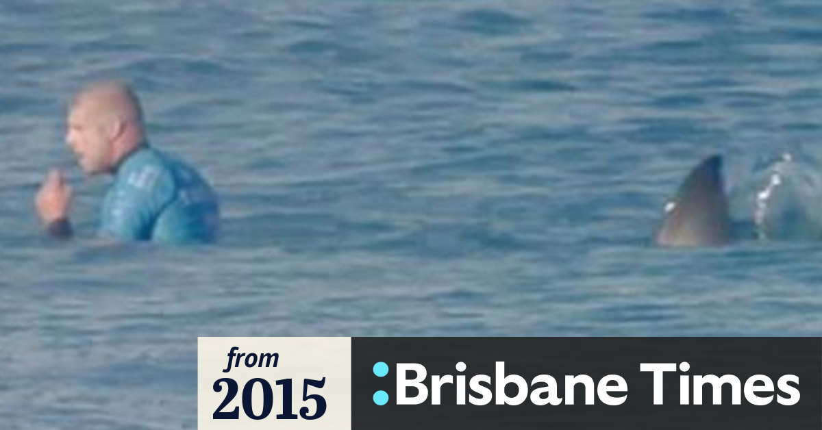 Shark attack: Gold Coast paddle instructor's ski bitten off Burleigh Heads