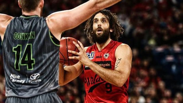 Concussion ends Matt Knight's NBL career