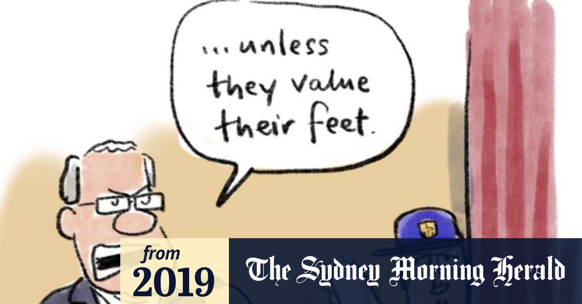 Best of cartoons November 5, 2019