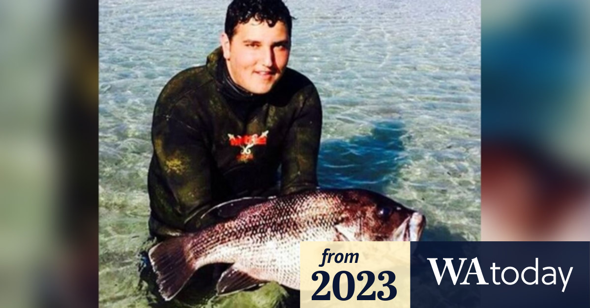 Timeline of fatal shark attacks along the West Australian coast