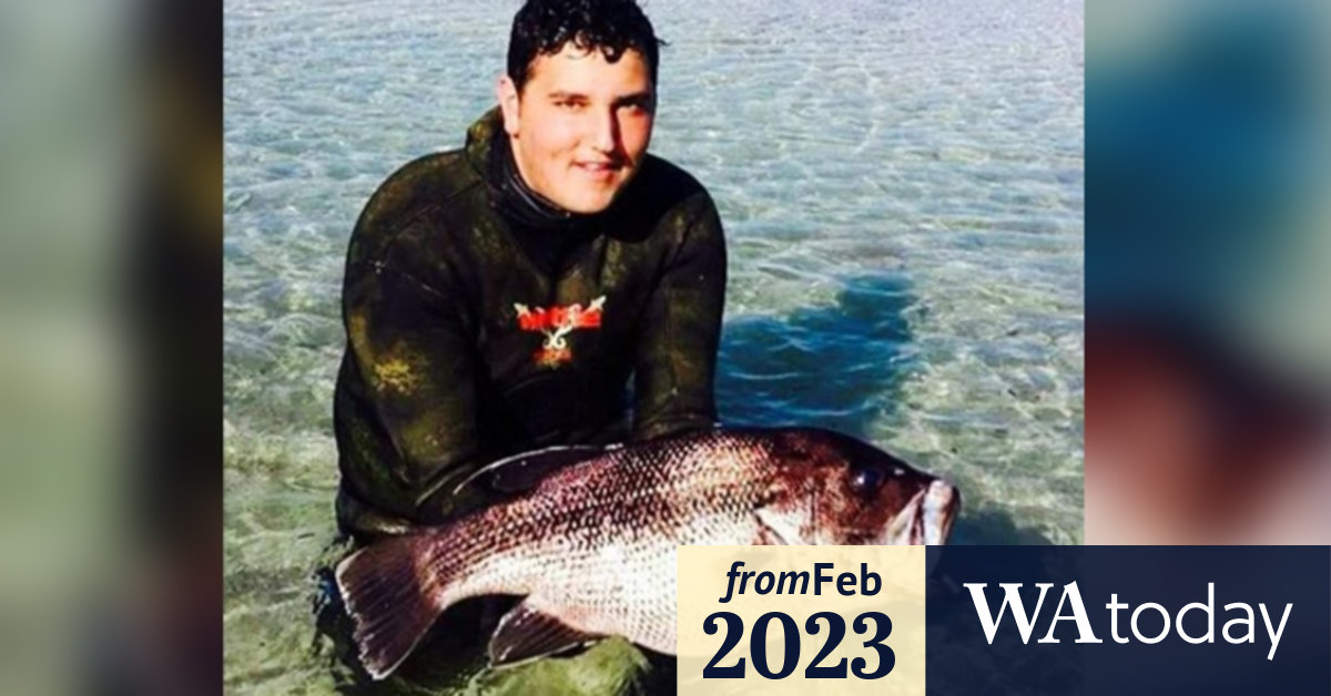 Timeline of fatal shark attacks along the West Australian coast