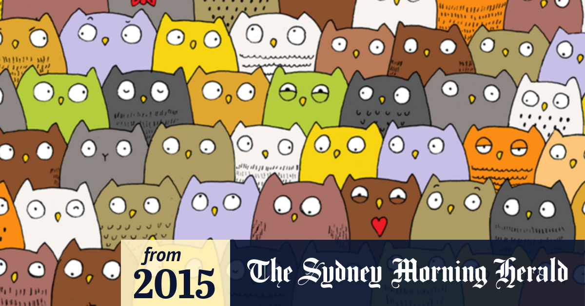 Spot the cat follows the Panda Puzzle