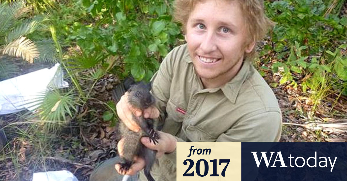 Black-footed tree rat returns to WA after vanishing for 30 years