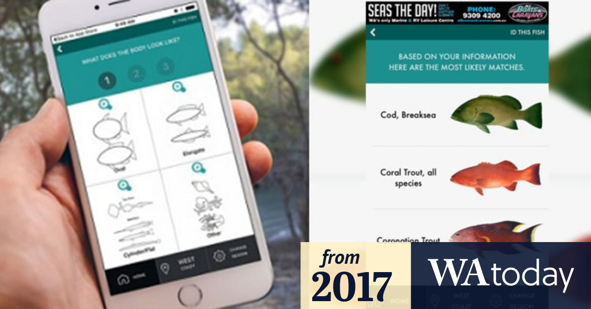 Fishing in WA? There's an app for that