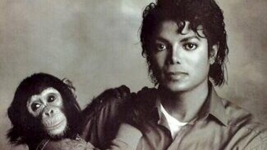 Michael Jackson's chimpanzee Bubbles gets a biopic from Dan Harmon