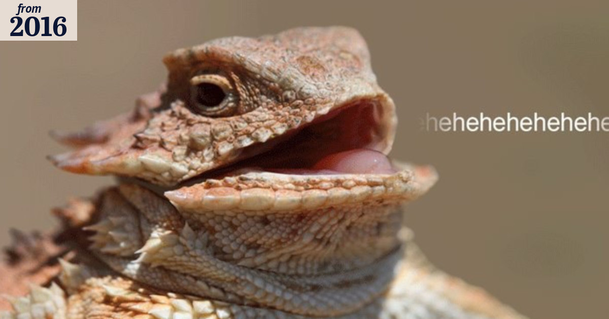 Alleged Lizard Squad, PoodleCorp DDoS attackers arrested