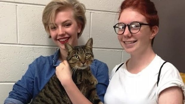 Microchip solves mysterious case of Sherlock the cat's disappearance