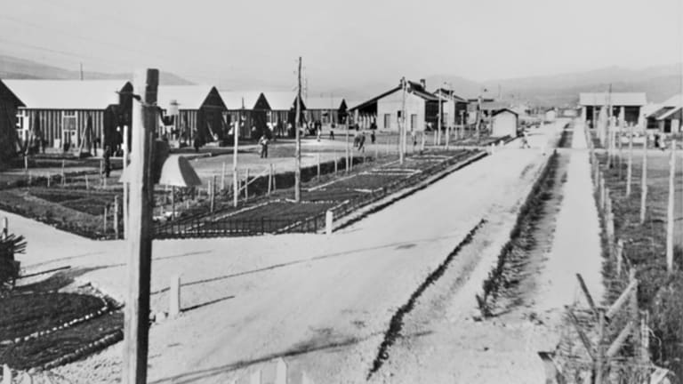 Australian POWs in Italy, 1942: Starved, frozen and ready to come home