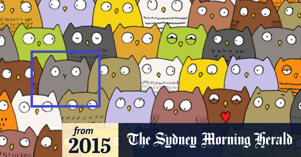 Spot the cat answered