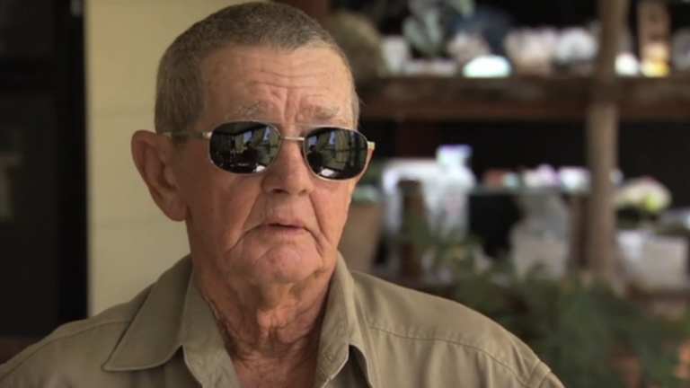 Steve Irwin gone a decade, but legacy lives on as Bob finds ...