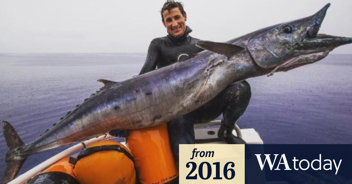 Wahoo!!! Spear fisherman's monster Fiji catch probably does need a ...