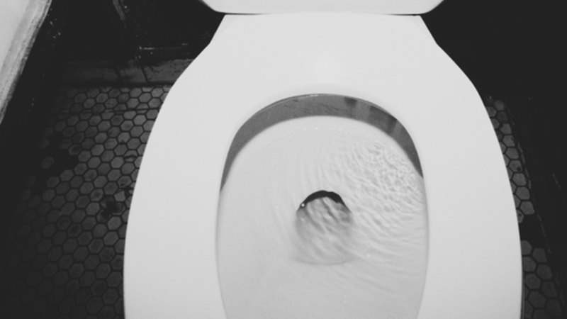 Poo-powered car hits the streets of Brisbane