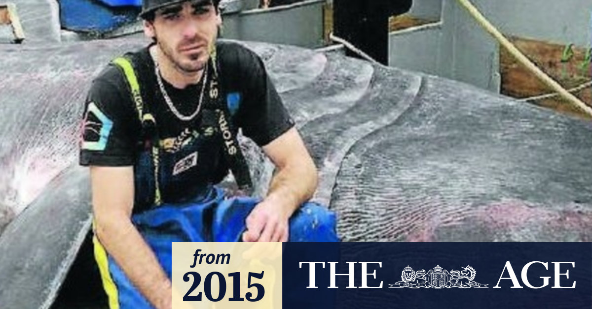 Museum thrilled as rare basking shark is added to its collection