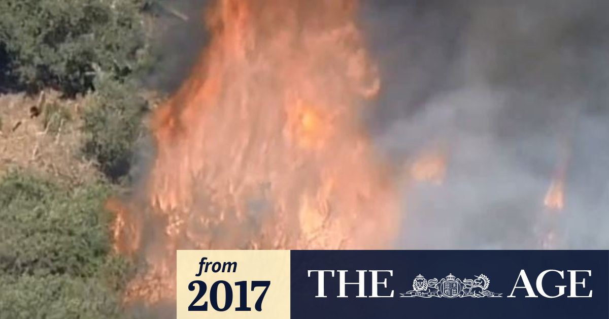 Large fire in Melbourne's south-east brought under control
