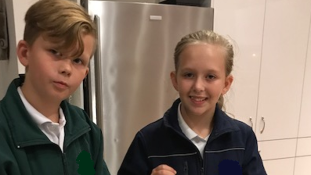 Two children missing from Sydney's south found safe and well
