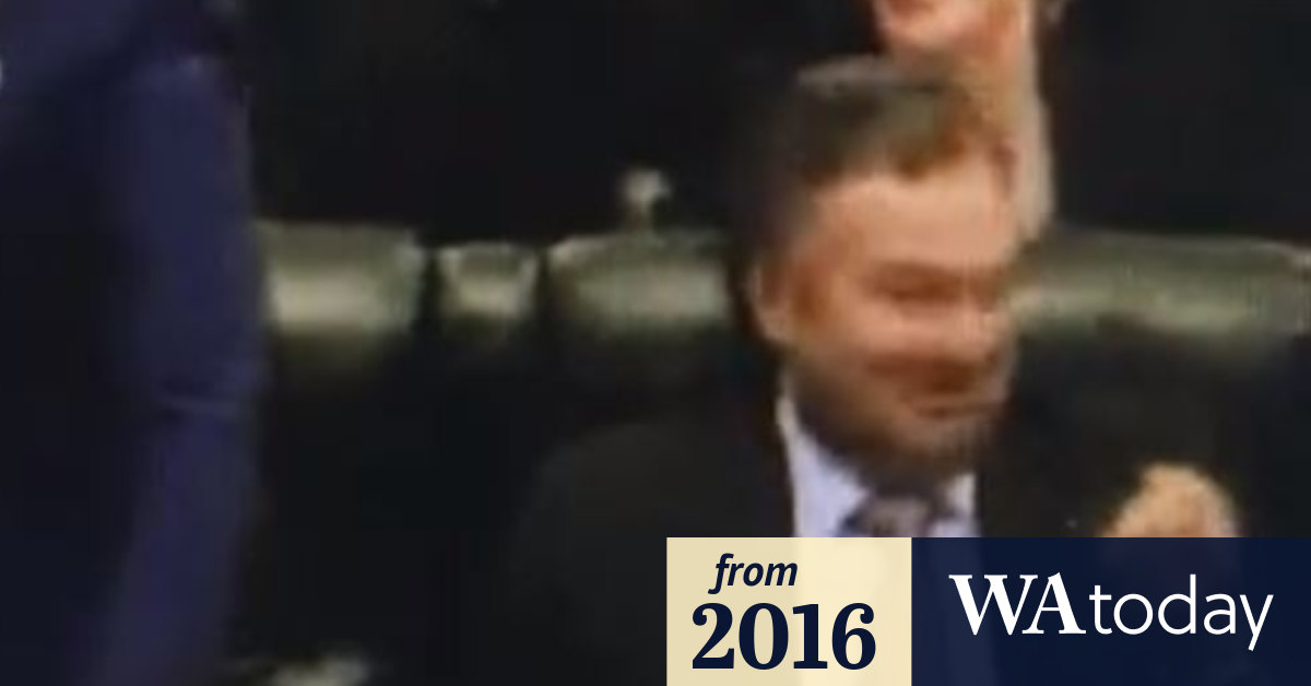 WA's Kim Hames not alone in making rude gesture in Parliament
