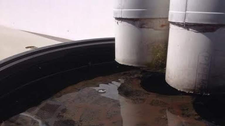 One in five Melbourne homes have mosquito-infested watertanks