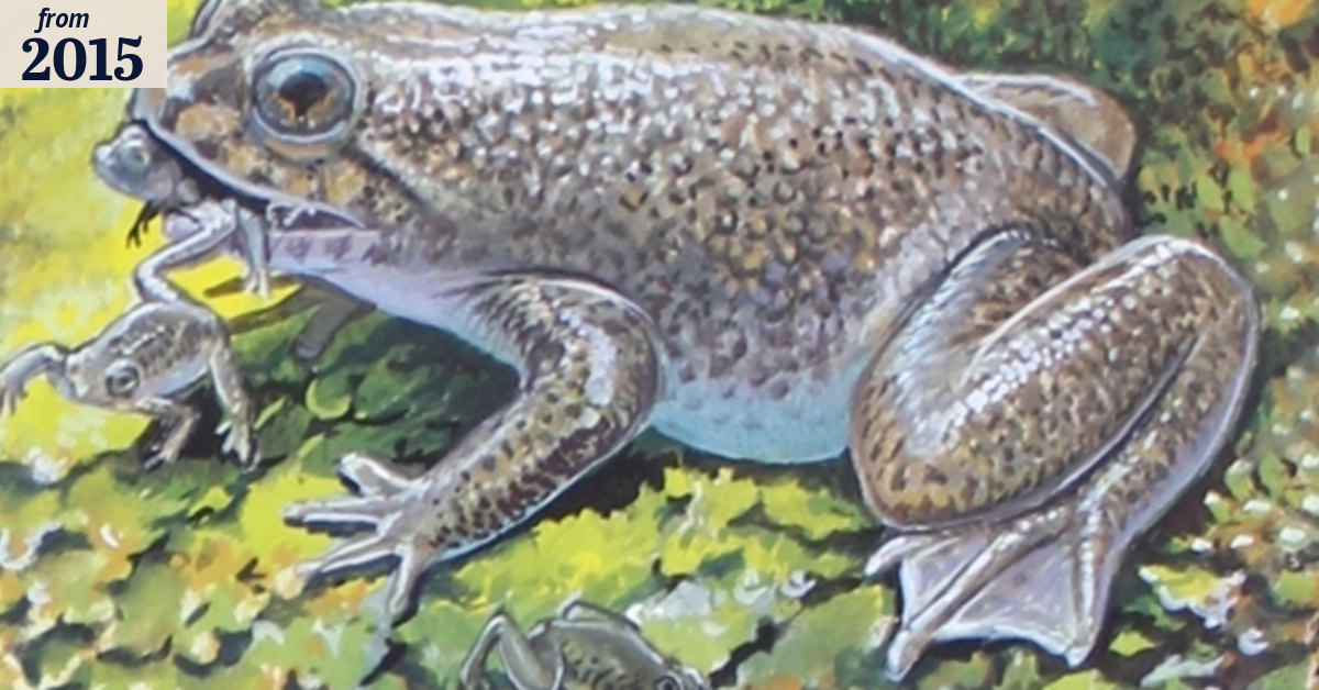 The Lazarus Project: Scientists' quest for de-extinction