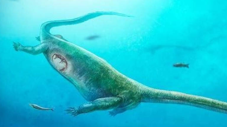 Pregnant dinosaur cracks egg theory