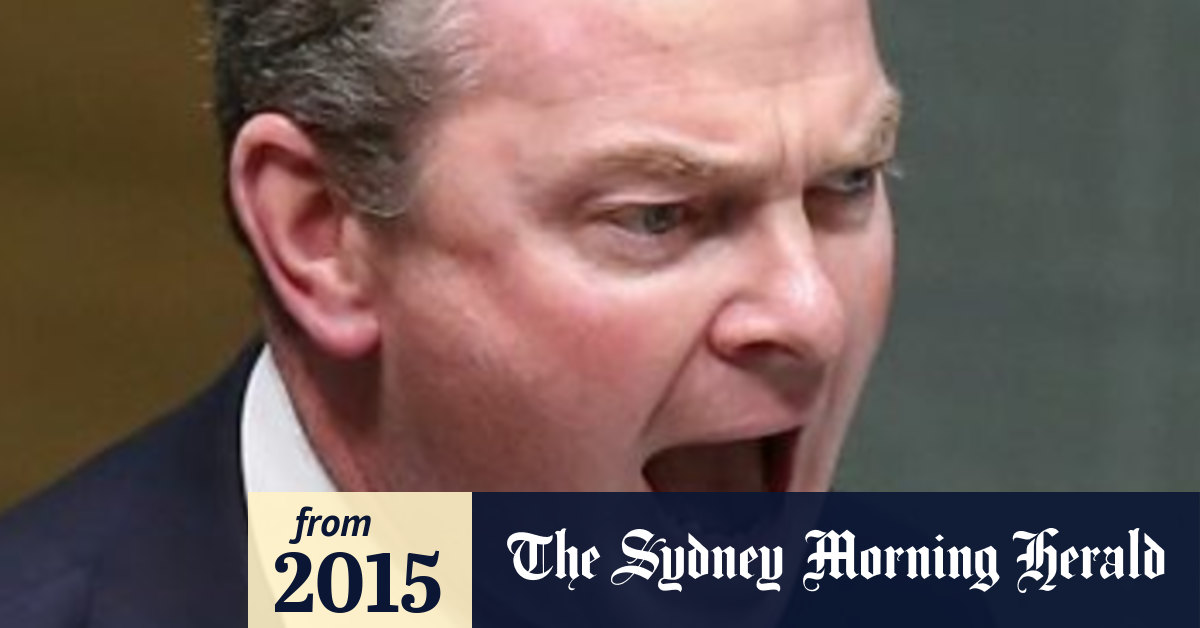 'Beyond me': Christopher Pyne berates NSW Liberals for compromising ...