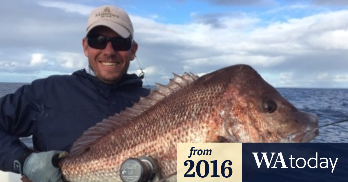 'Fish towers' to be sunk off Perth this summer to help bring bumper catches