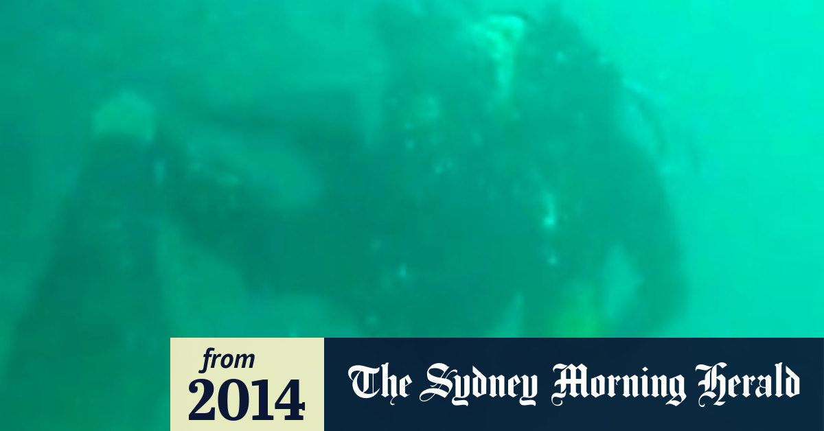 Woman dies after scuba dive at HMAS Adelaide wreck in Terrigal