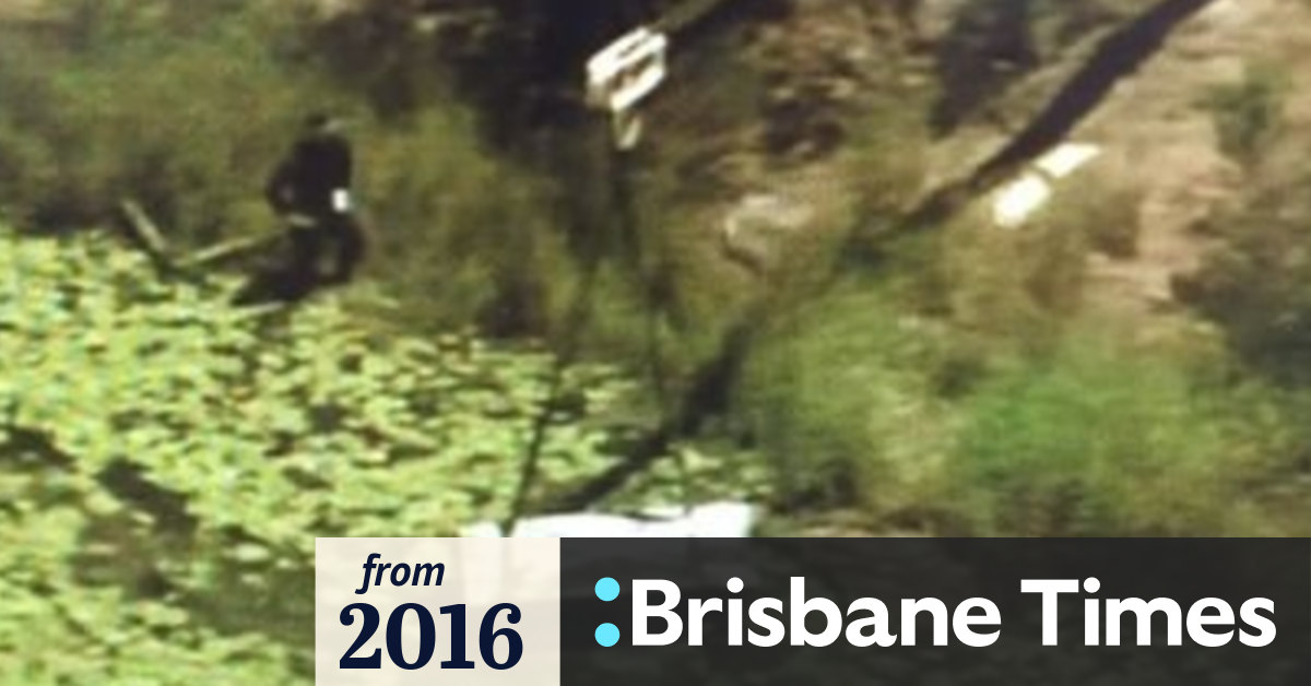 Bail bid for accused in bodies-in-box murders case