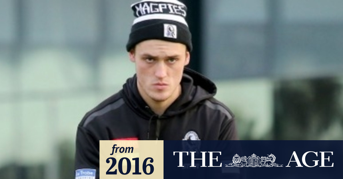 Darcy Moore hopes Collingwood Magpies will look like the Adelaide Crows ...