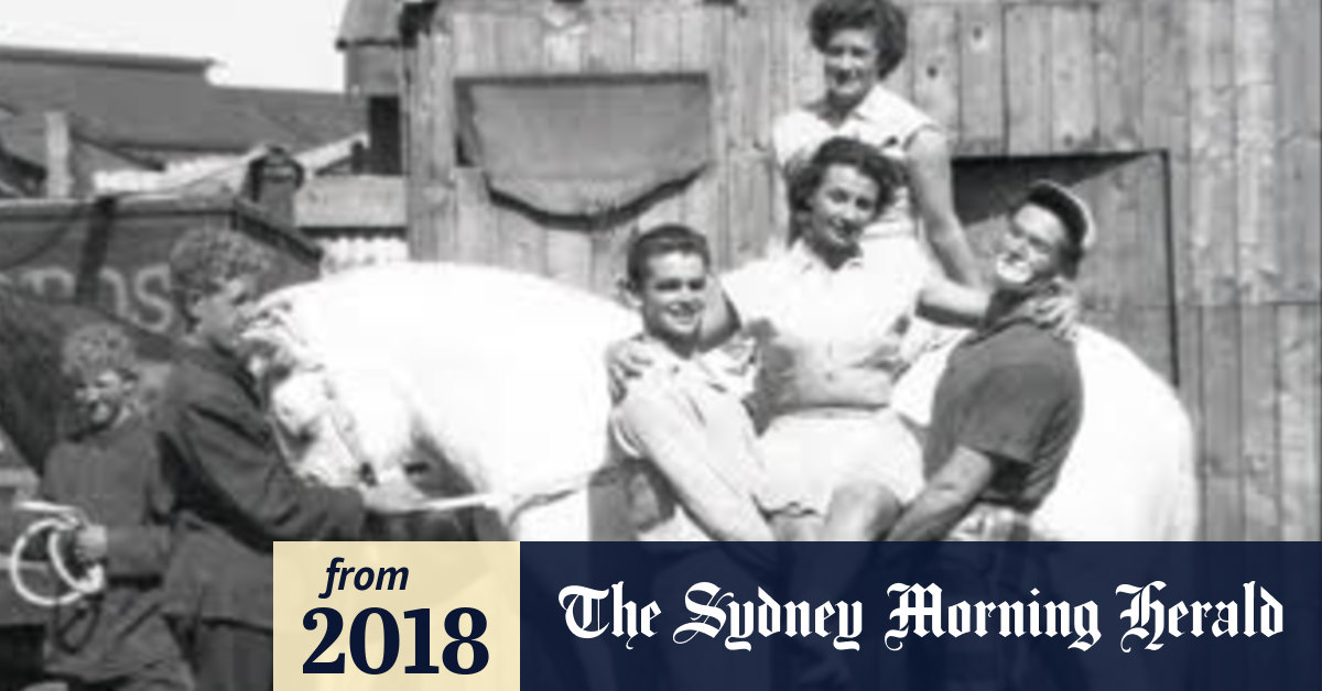 Leo St Leon, bareback circus rider