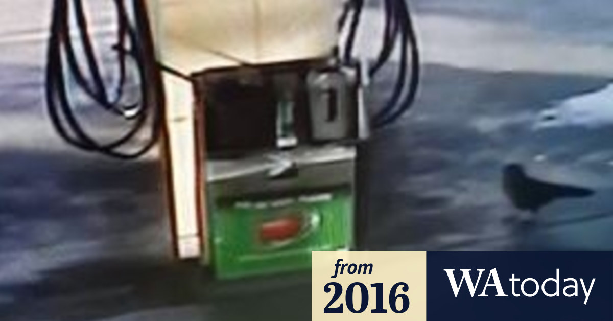 Breaking Bird: Crow reveals secret Perth meth stash