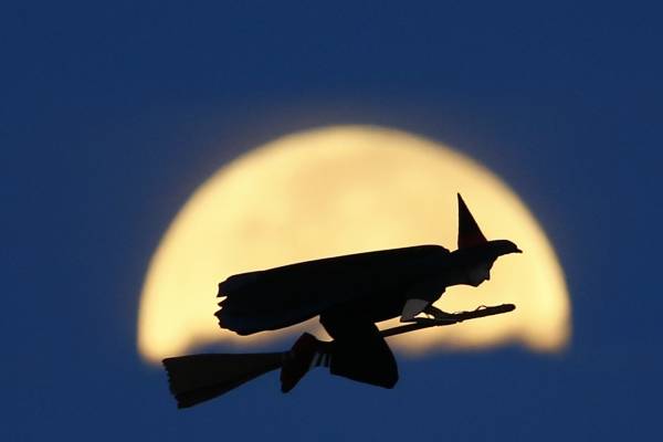 Australian witchcraft: the truth is out there