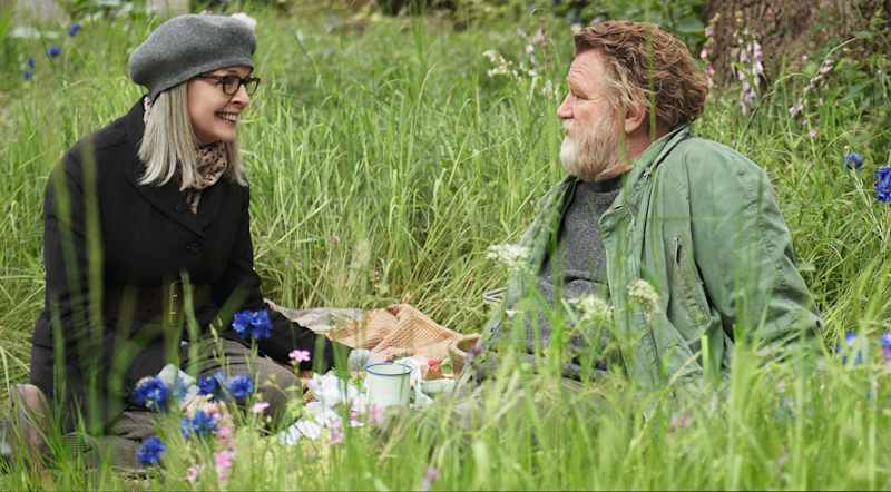 Hampstead review: Diane Keaton and Brendan Gleeson make a fine romance