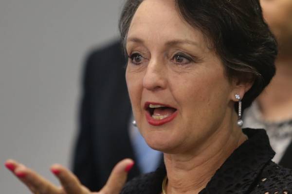New anti-domestic violence minister Pru Goward highlights prevention
