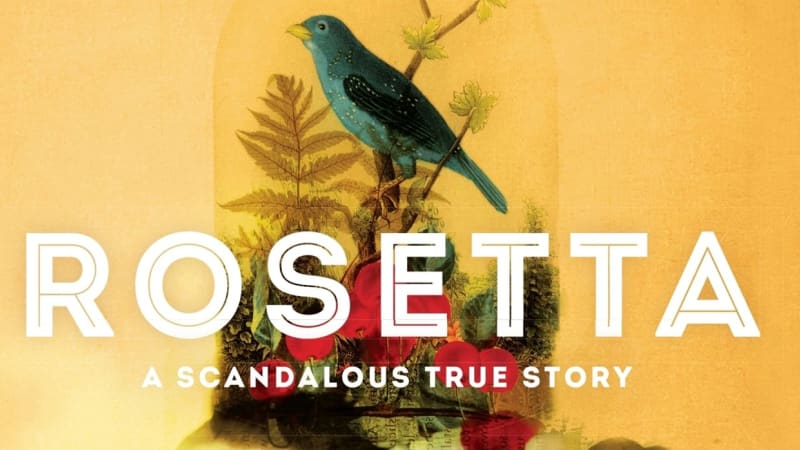 Rosetta review: Alexandra Joel's thrilling study of reinvention in ...