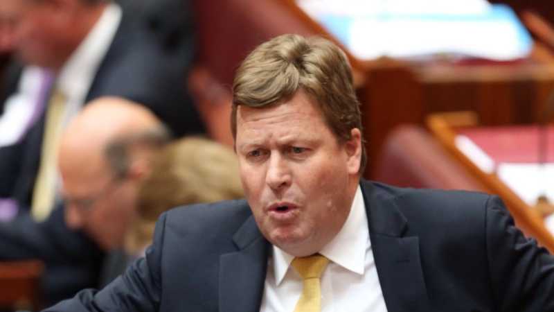 Liberal Michael Ronaldson quits after being dumped from frontbench