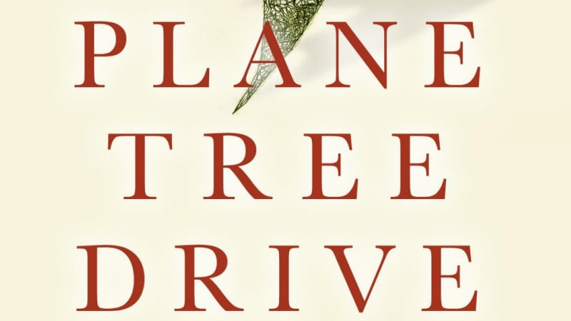 Plane Tree Drive review: Lynette Washington's stories of neighbourhood life
