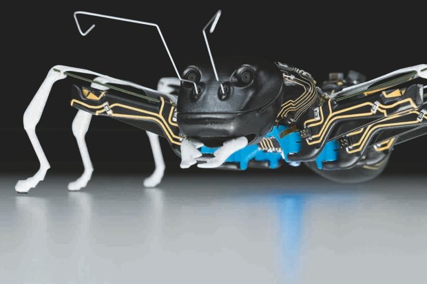 Bionic ants could be tomorrow's factory workers