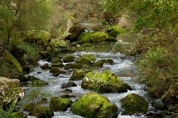 Six Reasons to Visit Lorne