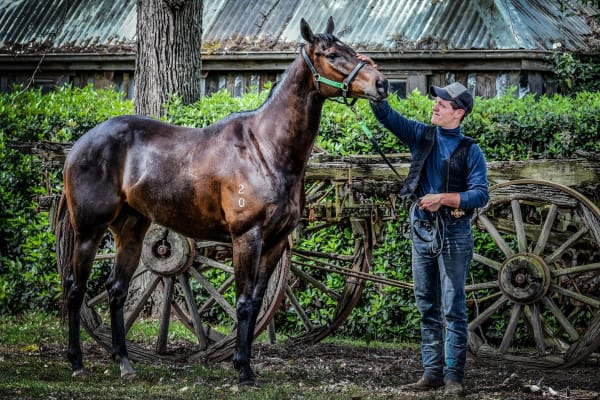 Jason Attard dreams big with Sons of John as Epsom Handicap beckons