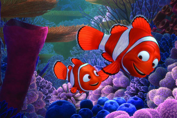 Great Barrier Reef sediment clogs clown fish gills: study