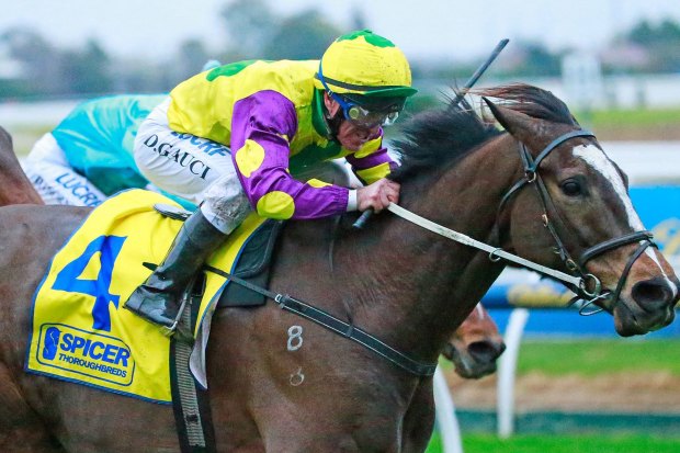 Darren Gauci rolls back the years and will not go quietly into the night